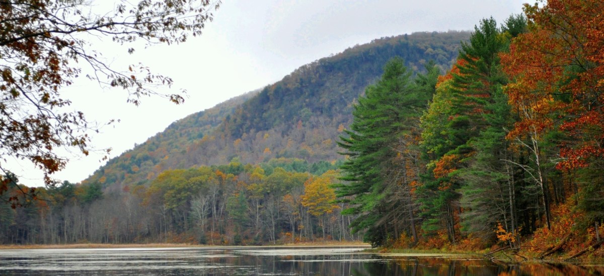 Mount Toby – The Rambling Wanderer